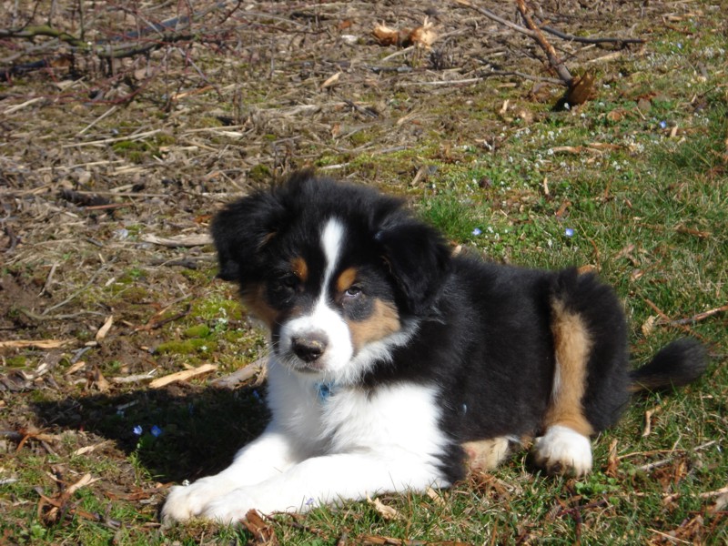 Abuu like father like son